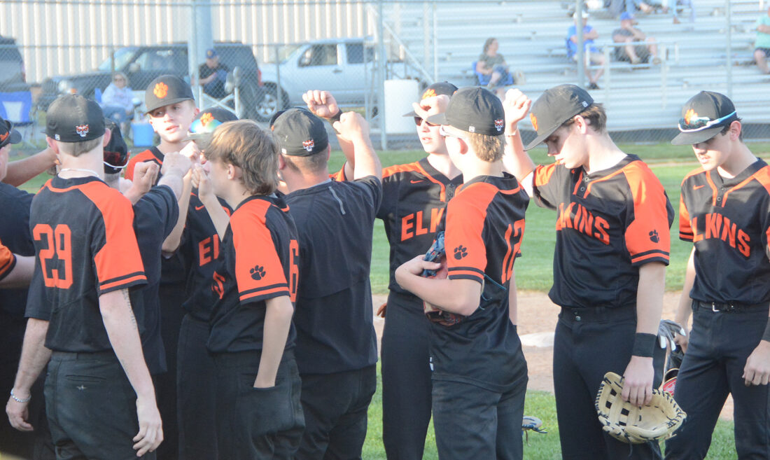 Regional baseball seedings revealed | News, Sports, Jobs - The ...